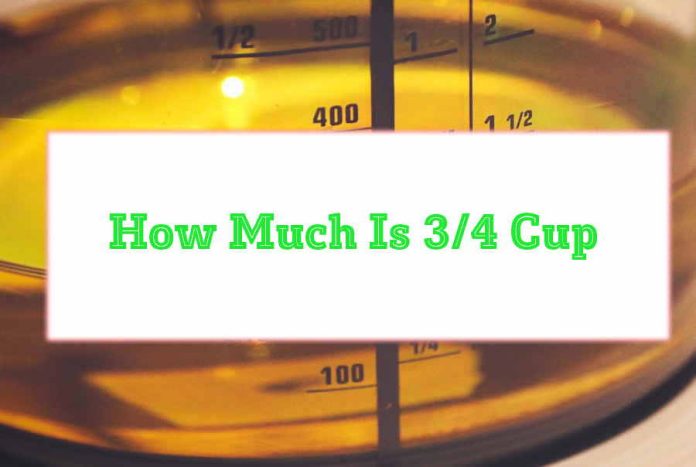 How Much Is 3 4 Cup Taste World